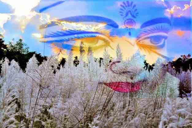 শারদীয় দুর্গা পূজার অষ্টমী, নবমী ও দশমীতে সরকারি ছুটি দাবি – Magura News